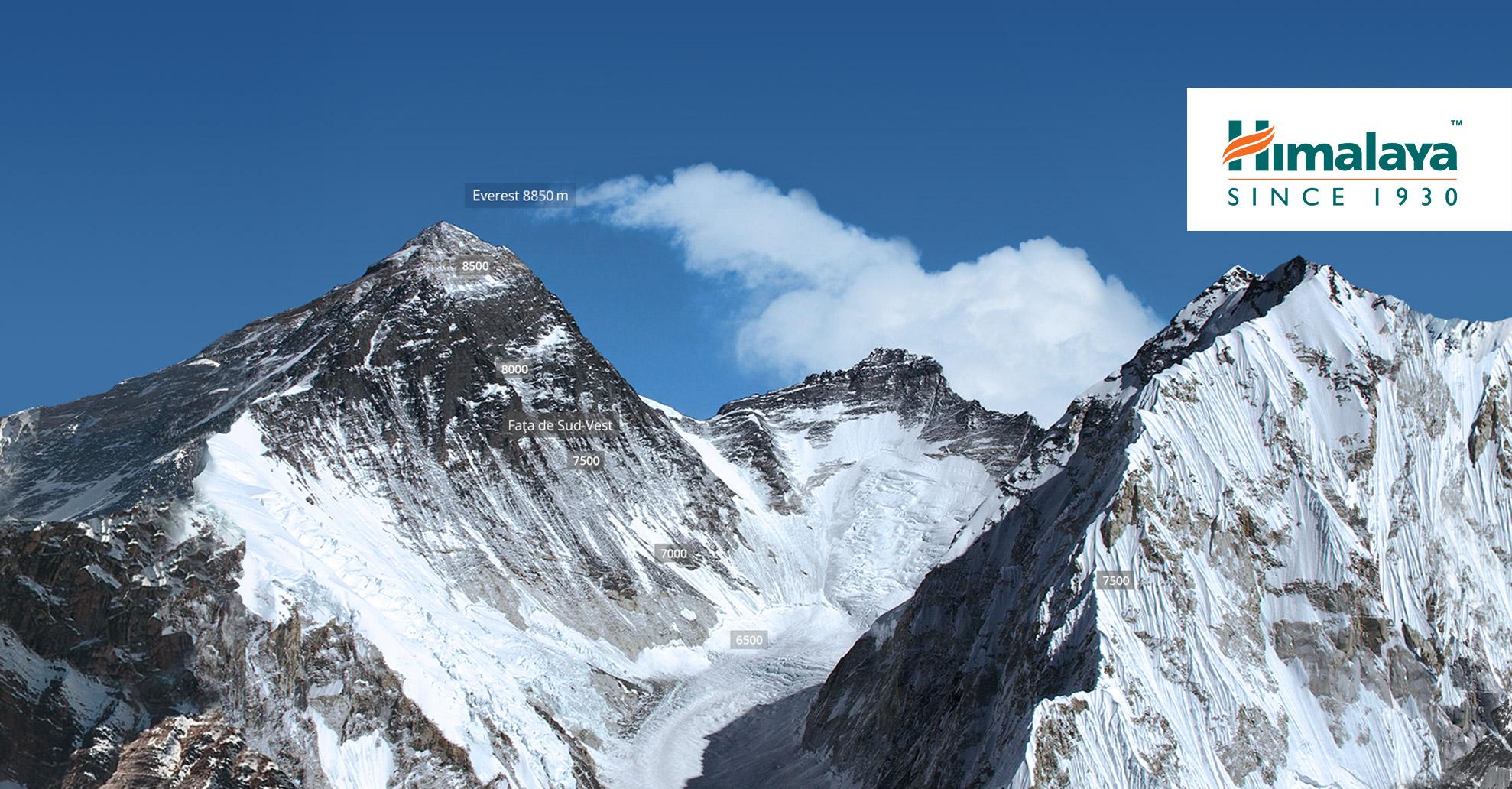 Himalaya - Worldwide pioneer in the field of scientifically validated ...